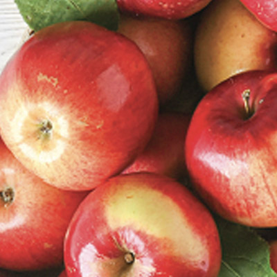 Trig's | Grocery Store and Online Grocery Delivery